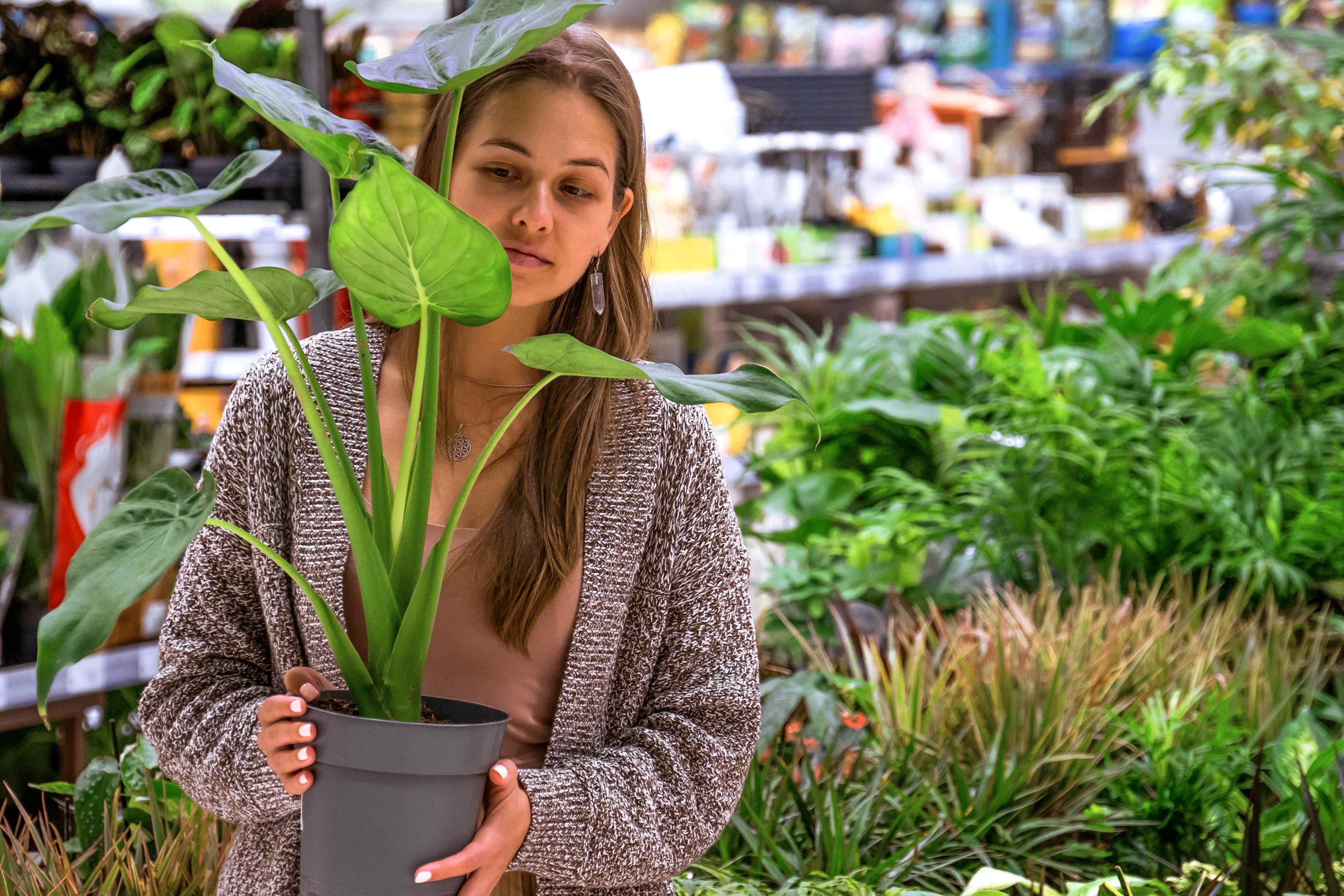 How to summer-proof your outdoor space! | King & Heath First National ...